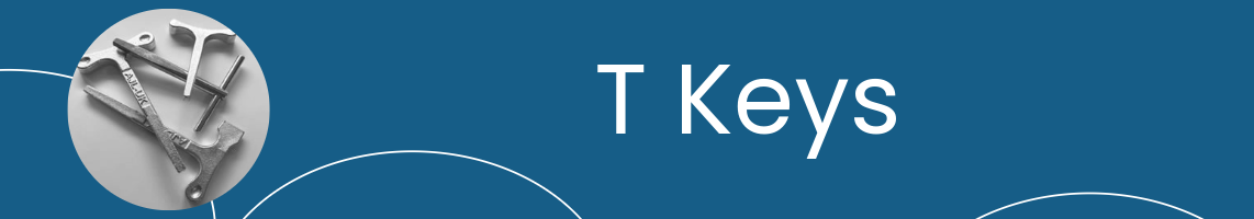 T Keys - Budget Keys - Maintenance Access keys